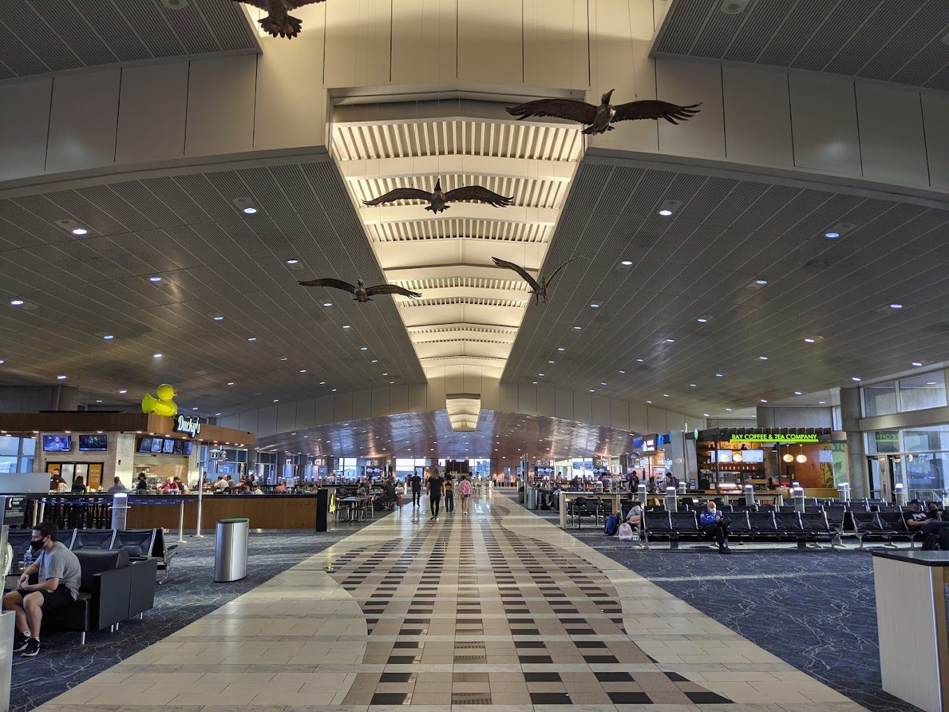 Tampa Airport: All about the Terminals, Parking, Lounges and Hotels